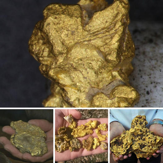 Unexpected luck: Discovering a giant gold block weighing up to 2.6kg in ...